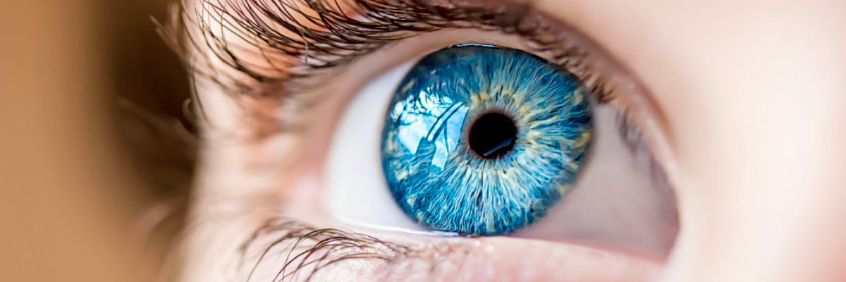 Esclera: Parte Branca do Olho e Doenças Relacionadas